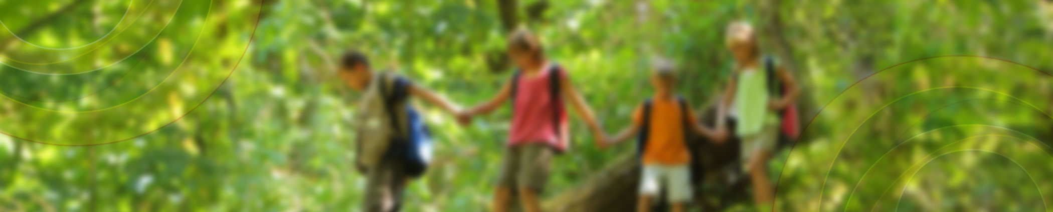 Forest Terminology Explained - Forest Learning